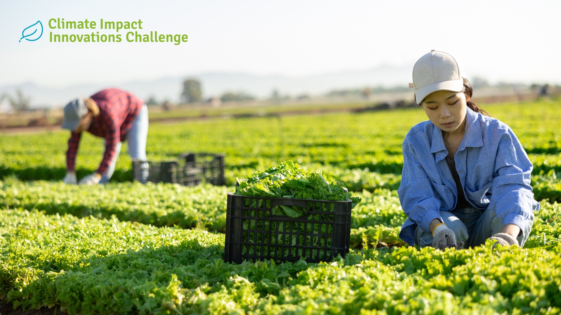 Sustainable Agriculture Framework to Counter Youth Outmigration ...